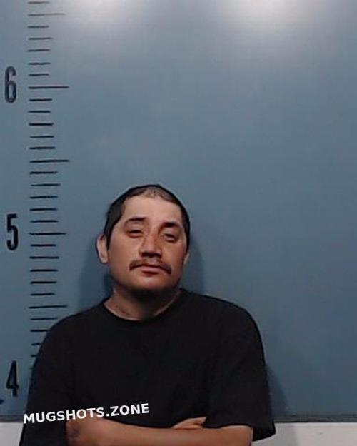 SAUCEDO MOSES RAY 06/02/2024 - Taylor County Mugshots Zone