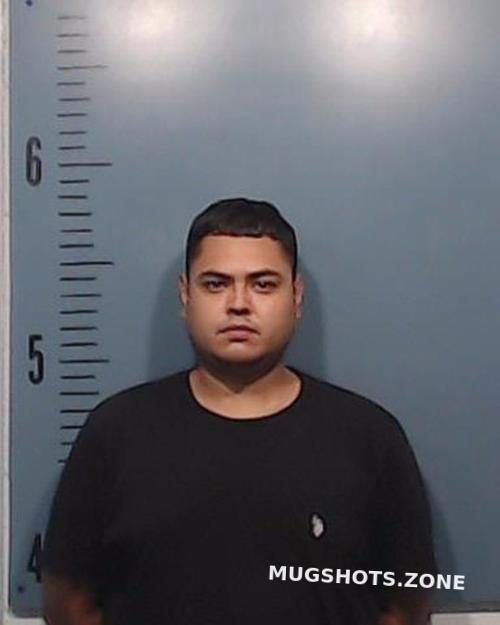 SALAS DANIEL JR. 06/07/2024 - Taylor County Mugshots Zone