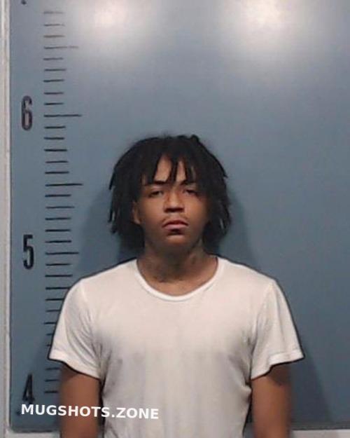AUSTIN MATHEW JAI-MAXTON 06/10/2024 - Taylor County Mugshots Zone