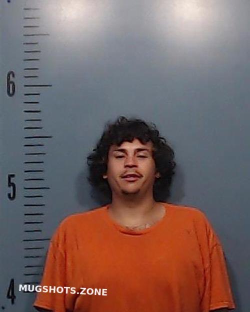 SWINEY ALVIN RAY 06/15/2024 - Taylor County Mugshots Zone