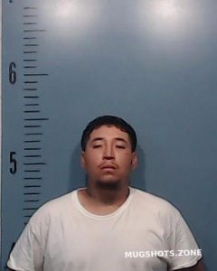 CASTILLO JESSE LEE 06/23/2024 - Taylor County Mugshots Zone
