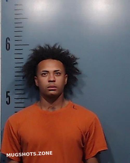 RUNYAN QUENTIN REECE 06/24/2024 - Taylor County Mugshots Zone