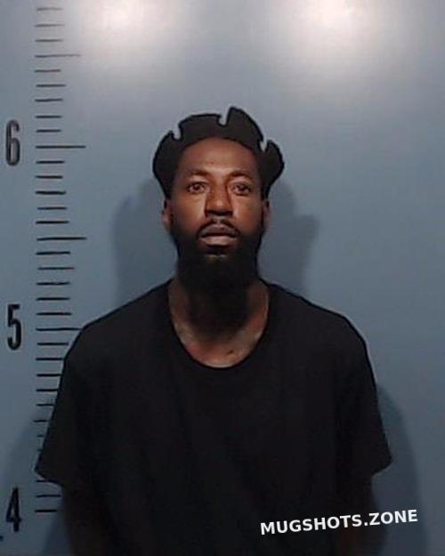 TYLER ERIC WAYNE 07/01/2024 - Taylor County Mugshots Zone