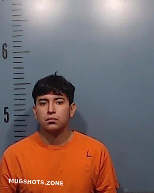 PEREZ-MEJIA LESTER 07/05/2024 - Taylor County Mugshots Zone