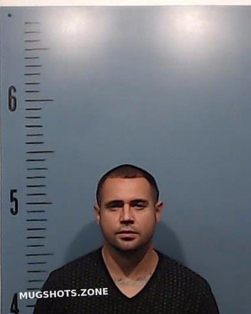 WILSON TIMOTHY JONATHAN 07/23/2024 - Taylor County Mugshots Zone