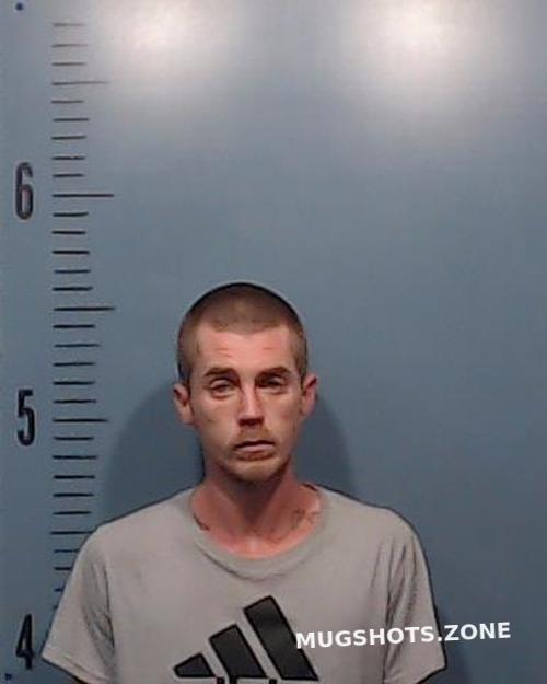 MOSLEY MICHAEL DEWAYNE 08/19/2024 - Taylor County Mugshots Zone