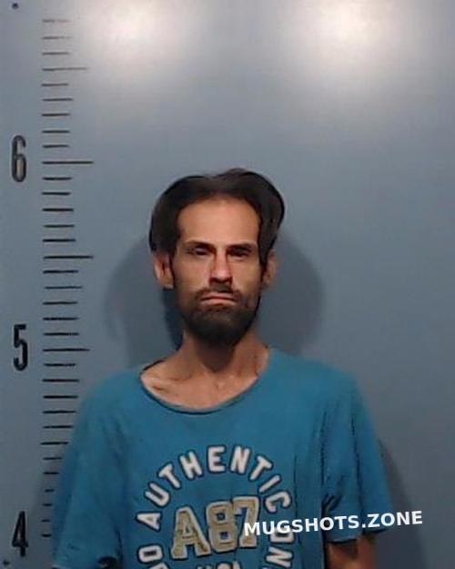 SHEETS ROBERT ALLEN 08/20/2024 - Taylor County Mugshots Zone