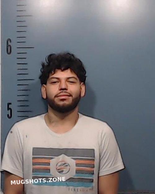 RAMIREZ CESAR ALEXANDER 09/13/2024 - Taylor County Mugshots Zone