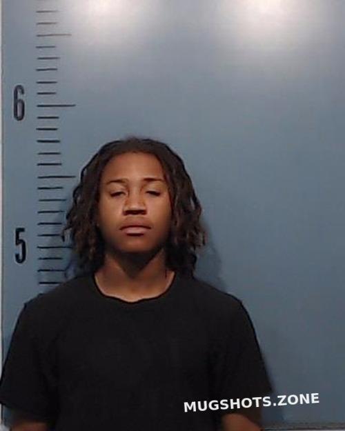 MCCRARY MARQUISE WAYNE 09/14/2024 - Taylor County Mugshots Zone