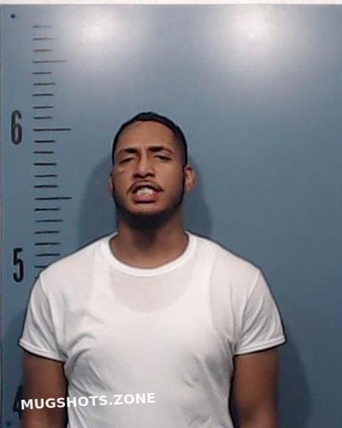 WORD RYAN DEON 09/19/2024 - Taylor County Mugshots Zone