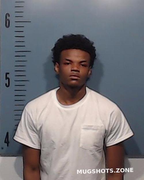WILLIAMS JAMICHAEL DEON 09/26/2024 - Taylor County Mugshots Zone