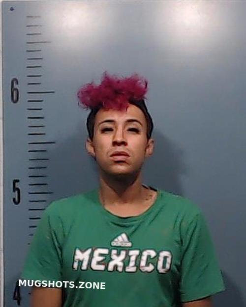 JACKSON DEVON TANAKA 10/01/2024 - Taylor County Mugshots Zone