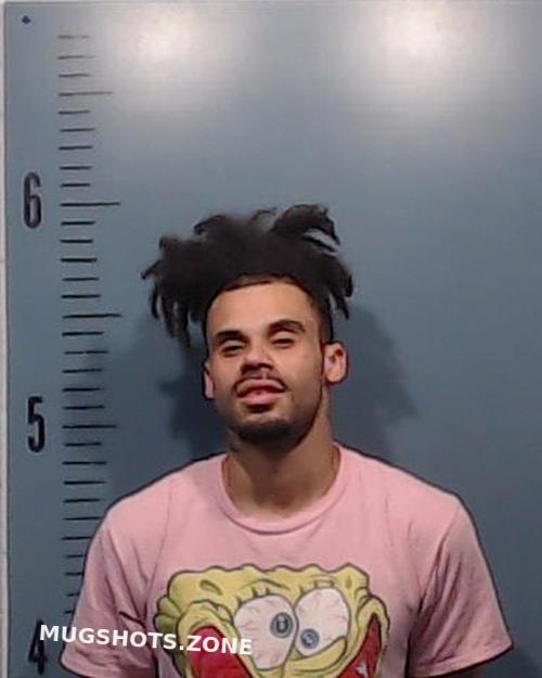 ANDERSON CHRISTOPHER MARK 10/01/2024 - Taylor County Mugshots Zone