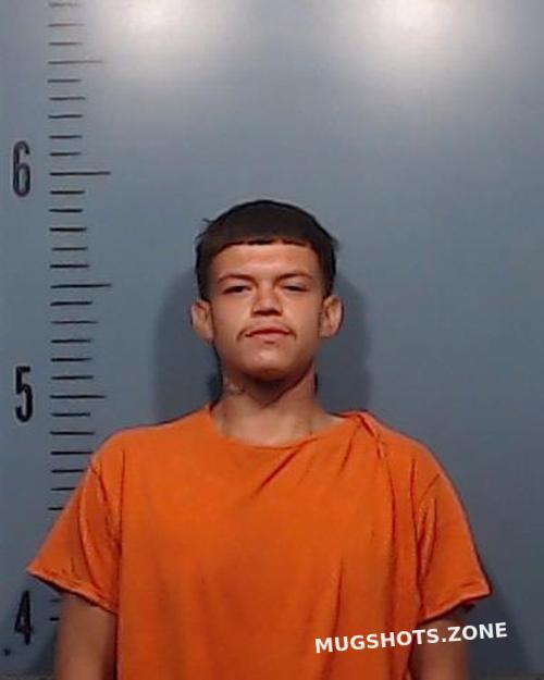 STOKES JOHNNY RAY JR. 10/09/2024 - Taylor County Mugshots Zone