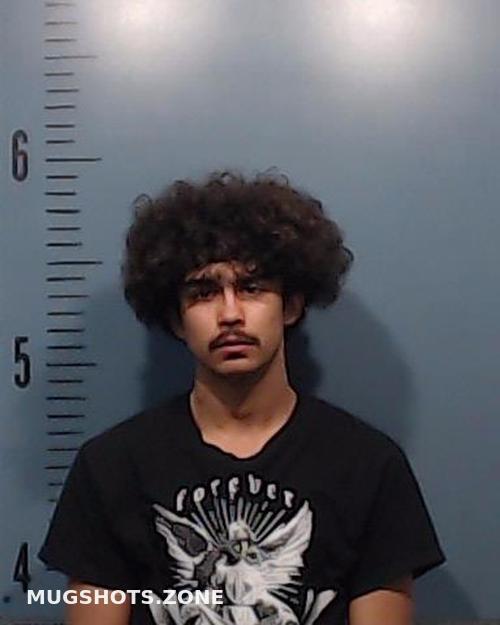 GOMEZ ANDREW DIEGO 10/11/2024 - Taylor County Mugshots Zone
