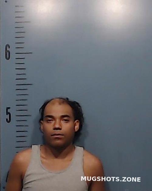 GONZALES ABEL JOE LOUIS 10/25/2024 - Taylor County Mugshots Zone