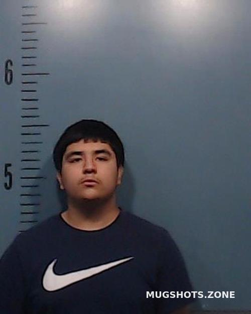 ORTEGON AUSTIN MANUEL 10/30/2024 - Taylor County Mugshots Zone
