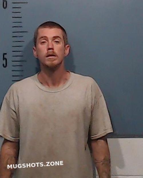 MOSLEY MICHAEL DEWAYNE 10/30/2024 - Taylor County Mugshots Zone