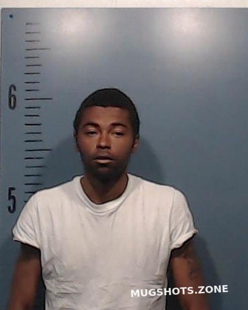 GOWDY MICHAEL SHAN 10/31/2024 - Taylor County Mugshots Zone
