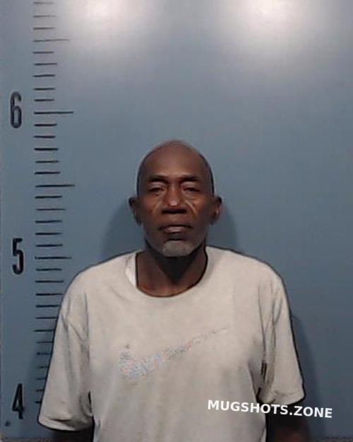 DAVIS DANNY RAY 11/02/2024 - Taylor County Mugshots Zone
