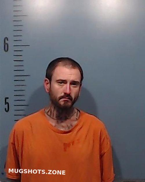 LOGAN BRANDON PHILLIP 11/05/2024 - Taylor County Mugshots Zone