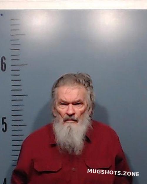 ALLEN KENNETH WAYNE 11/13/2024 - Taylor County Mugshots Zone
