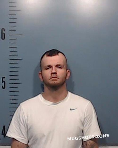 ERVIN JEREMY DUANE 11/20/2024 - Taylor County Mugshots Zone