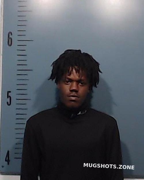 PUGH JOVAN NICHOLAS 11/25/2024 - Taylor County Mugshots Zone