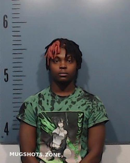 AMBUS-MARABLE LA'MIYAH PEARL 11/30/2024 - Taylor County Mugshots Zone