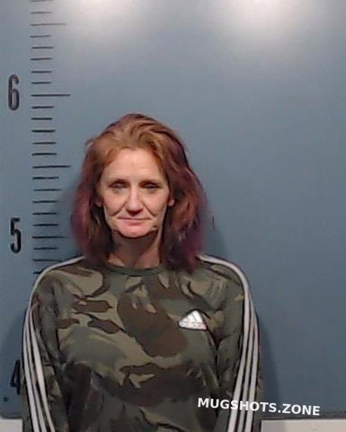 GOOTEE AMANDA JUNE 12/01/2024 - Taylor County Mugshots Zone