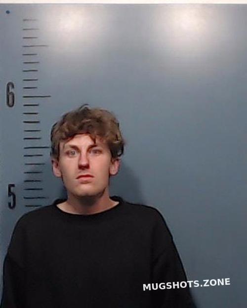 SIKES TYLER JAMES 12/15/2024 - Taylor County Mugshots Zone