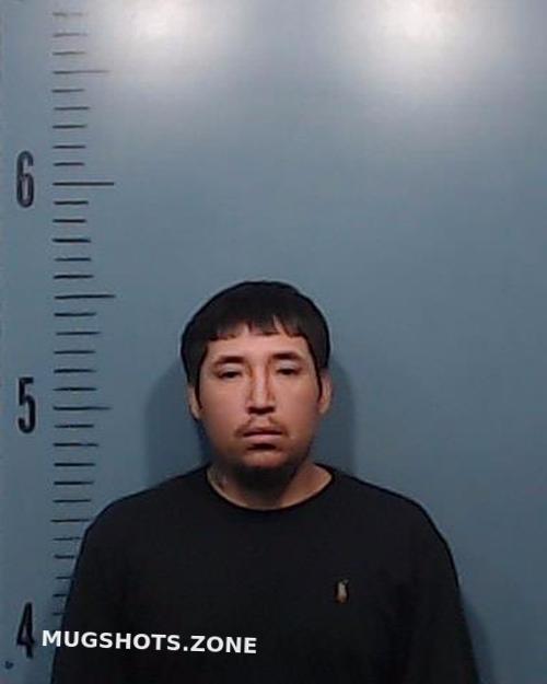 CASTILLO JESSE LEE 12/18/2024 - Taylor County Mugshots Zone