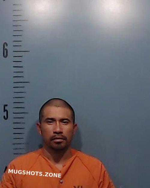 LOPEZ-RAMOS JORGE ARMANDO 12/24/2024 - Taylor County Mugshots Zone LOPEZ-RAMOS JORGE ARMANDO 12/24/2024 - Taylor County Mugshots Zone