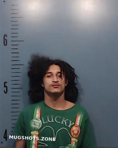 DAVIS CHANCE DIEGO DIAZ 12/29/2024 - Taylor County Mugshots Zone