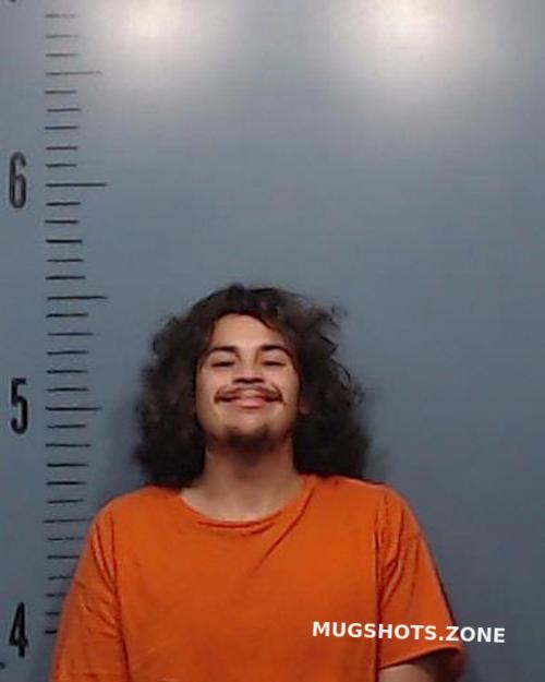 SWINEY ALVIN RAY 01/01/2025 - Taylor County Mugshots Zone