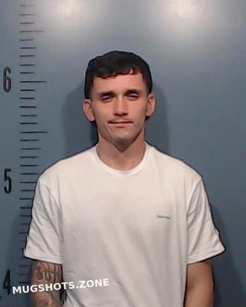 DELAROSA ZACHARY ORION 01/14/2025 - Taylor County Mugshots Zone