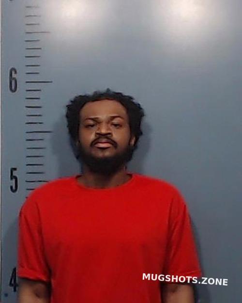 GREER BRANDON ALLEN 01/18/2025 - Taylor County Mugshots Zone