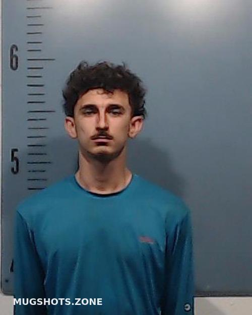 MORENO MARCEL ESTEVAN 01/23/2025 - Taylor County Mugshots Zone