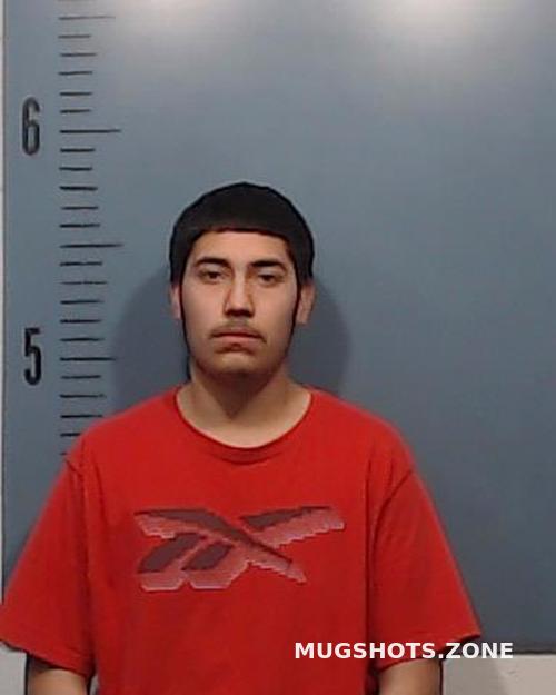CHAVEZ DANIEL XAVIER 01/23/2025 - Taylor County Mugshots Zone