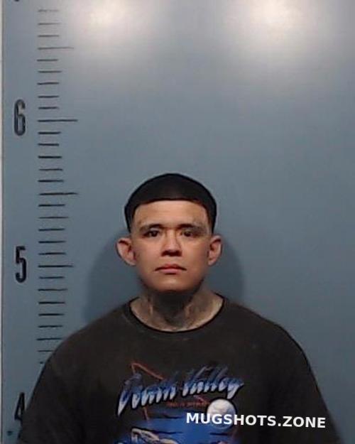 PEREZ RUBEN IVAN 01/24/2025 - Taylor County Mugshots Zone