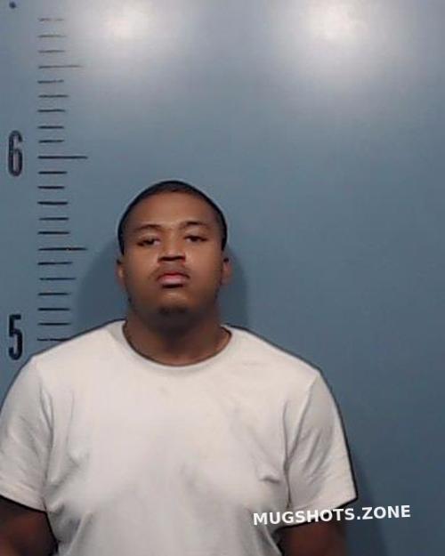 LEWIS TYRIQUE DAYVONE 02/01/2025 - Taylor County Mugshots Zone