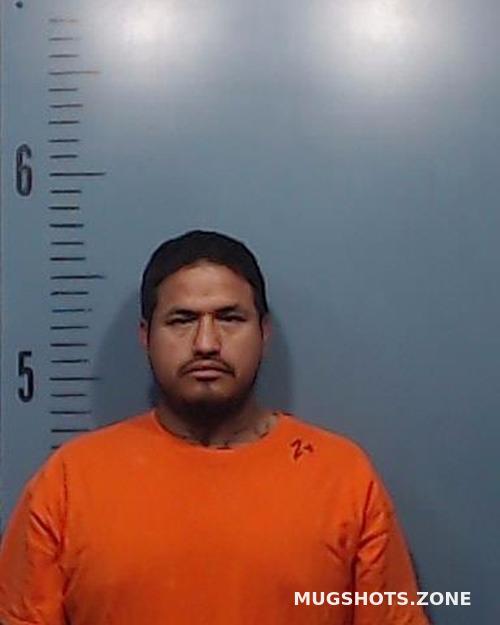 MEDRANO JOSE JAVIER 02/05/2025 - Taylor County Mugshots Zone