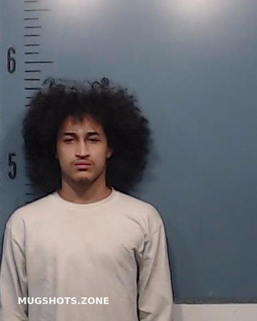 DAVIS CHANCE DIEGO DIAZ 02/06/2025 - Taylor County Mugshots Zone