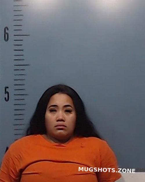 ARCE AMBERLYNN JESSICA 02/08/2025 - Taylor County Mugshots Zone