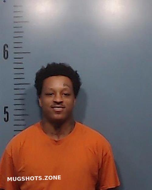 WILLIAMS DEVION JONTAE 02/13/2025 - Taylor County Mugshots Zone