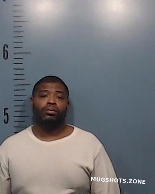 STILLWELL JEFFREY TYRONE JR. 02/14/2025 - Taylor County Mugshots Zone