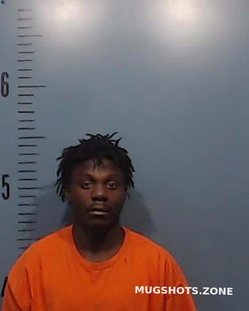 JONES DARRELL LEE EUGENE 02/21/2025 - Taylor County Mugshots Zone