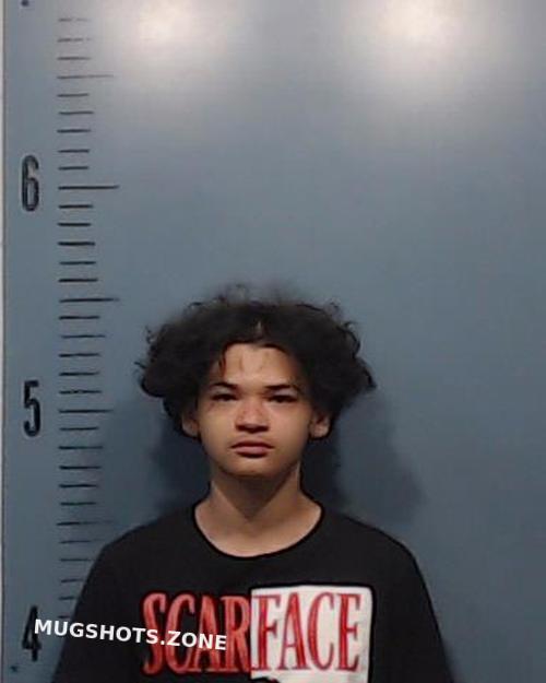 GALE MARTAVIUS JEROME 02/21/2025 - Taylor County Mugshots Zone
