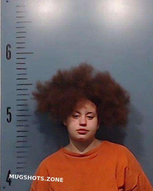 SORRELLS JLYNN KRISTIN 02/23/2025 - Taylor County Mugshots Zone