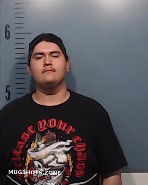 WHEELER DION RAY JR. 03/02/2025 - Taylor County Mugshots Zone
